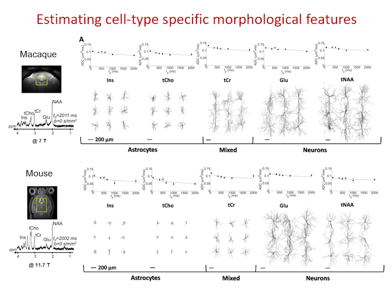 Dr Marco Palombo - People - Cardiff University