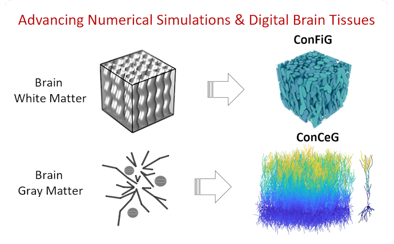Dr Marco Palombo - People - Cardiff University