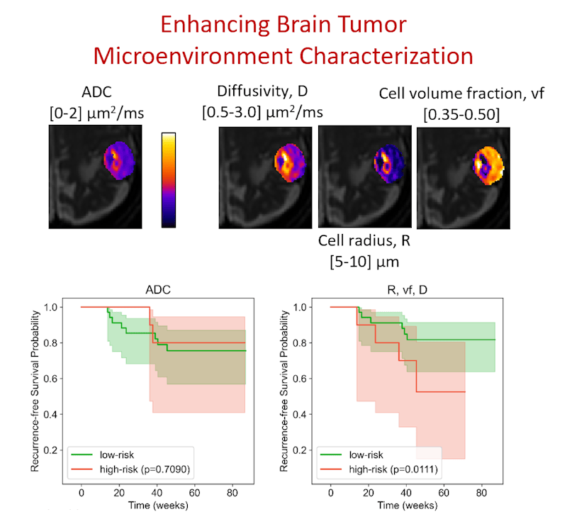 Dr Marco Palombo - People - Cardiff University